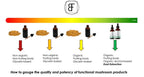 LINC adaptogen mushroom extract