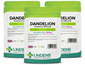 Lindens Dandelion herbal capsules benefits