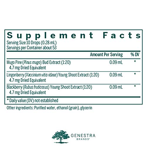 Lingonberry antioxidant health benefits