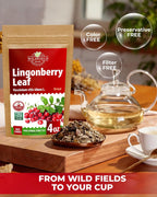 Lingonberry leaves for digestive health