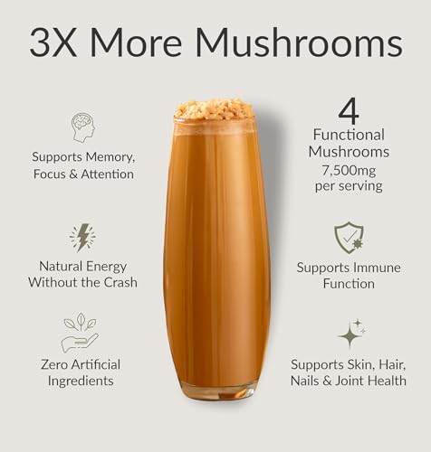 Lion's Mane and Chaga blend benefits