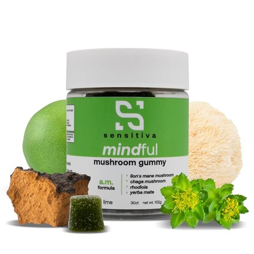 Lion's Mane and Chaga supplement