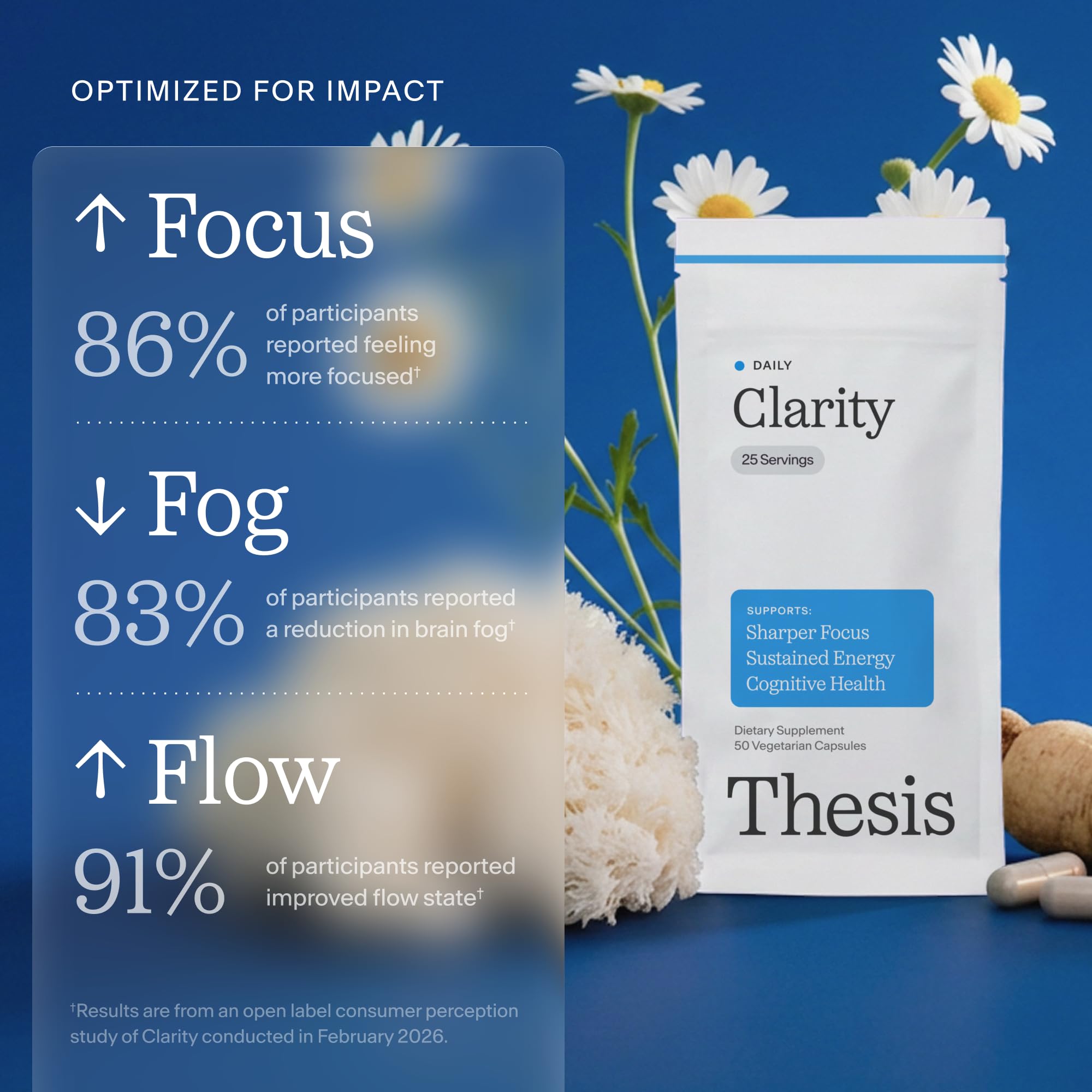 Lion's Mane and Citicoline formula