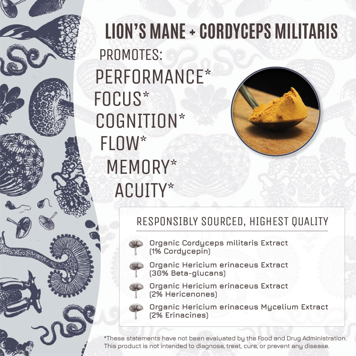 Lion's Mane and Cordyceps blend