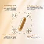 lion's mane and ginkgo biloba blend