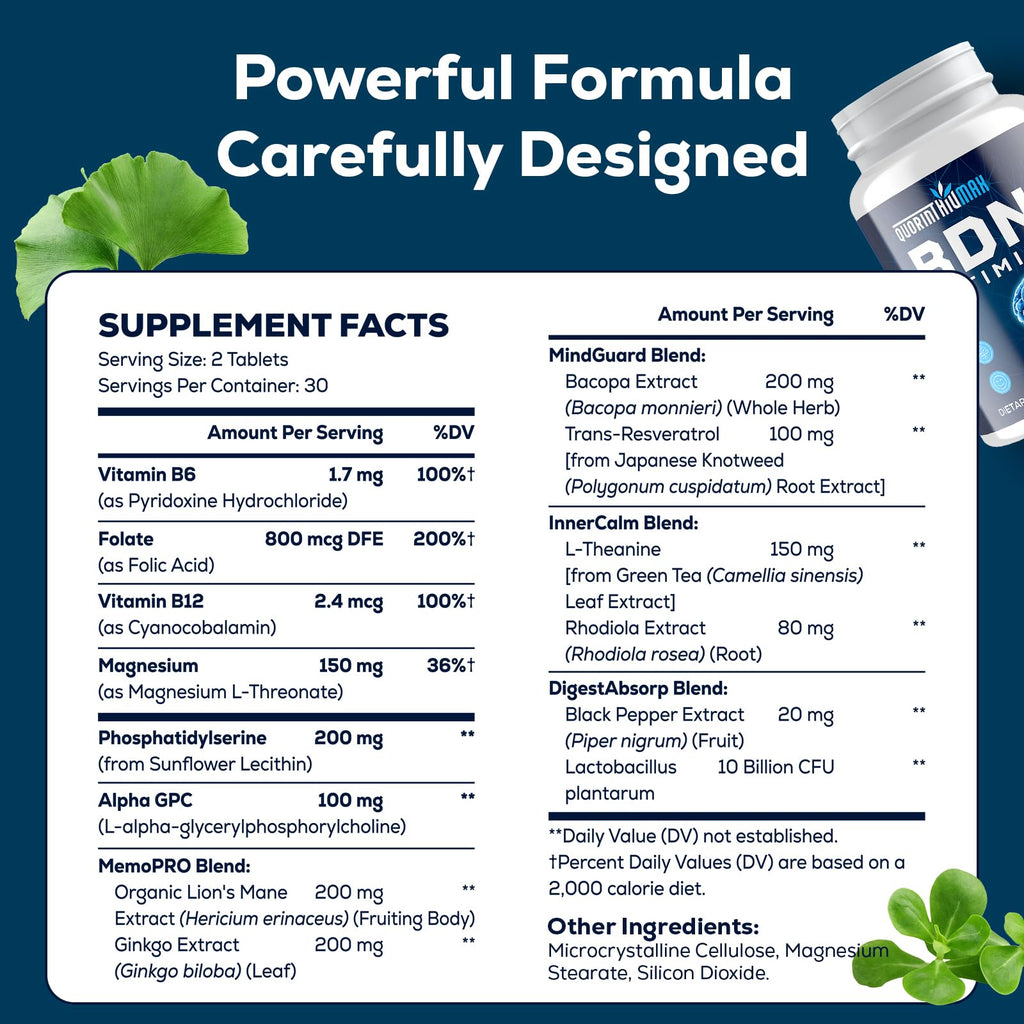 Lion's Mane and L-Theanine multivitamin for stress relief