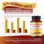 Lion's Mane and Reishi benefits