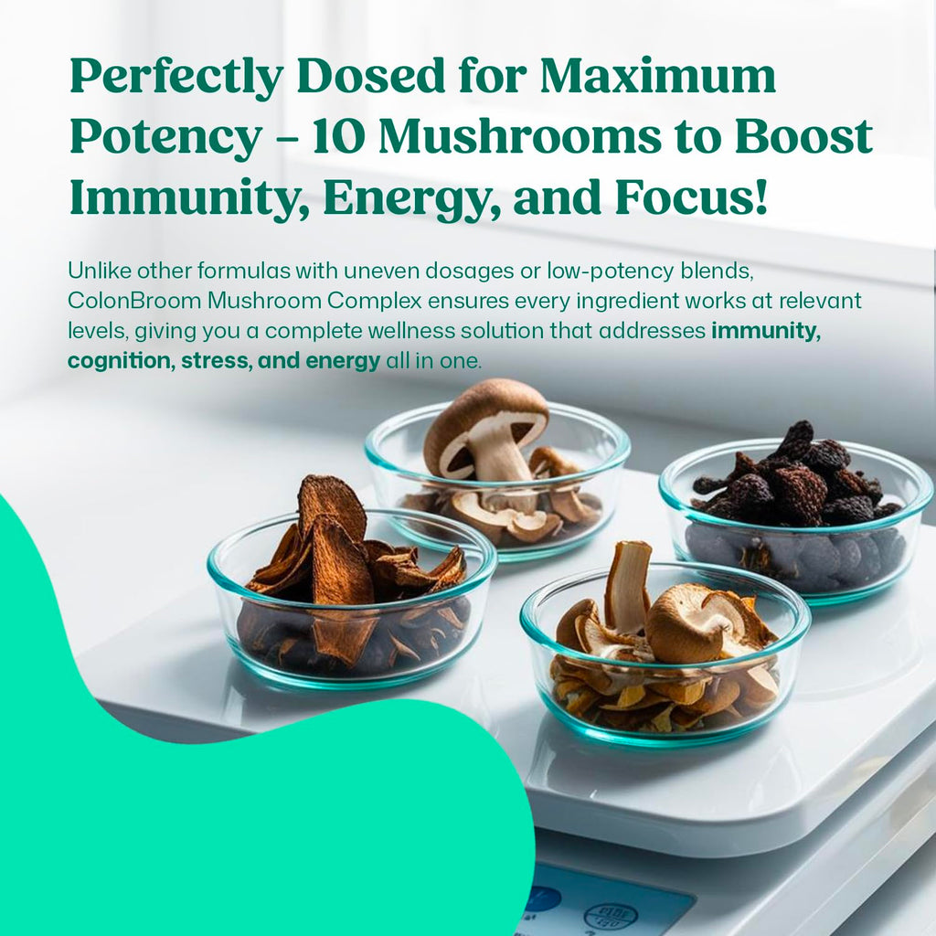Lion's Mane and Reishi capsules benefits