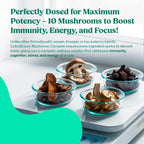 Lion's Mane and Reishi capsules benefits