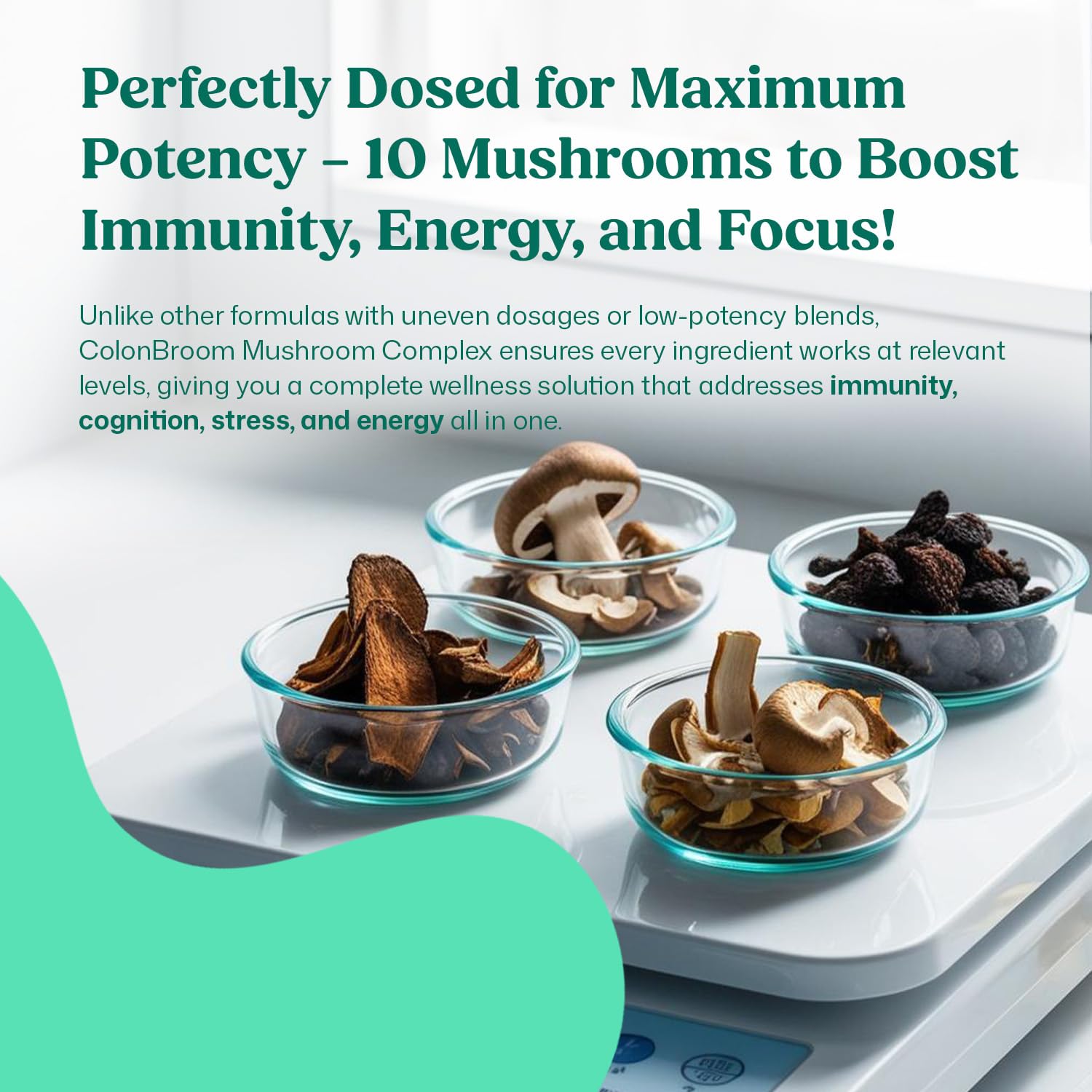 Lion's Mane and Reishi capsules benefits