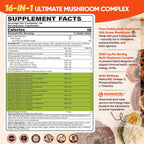 Lion's Mane and Reishi gummy benefits