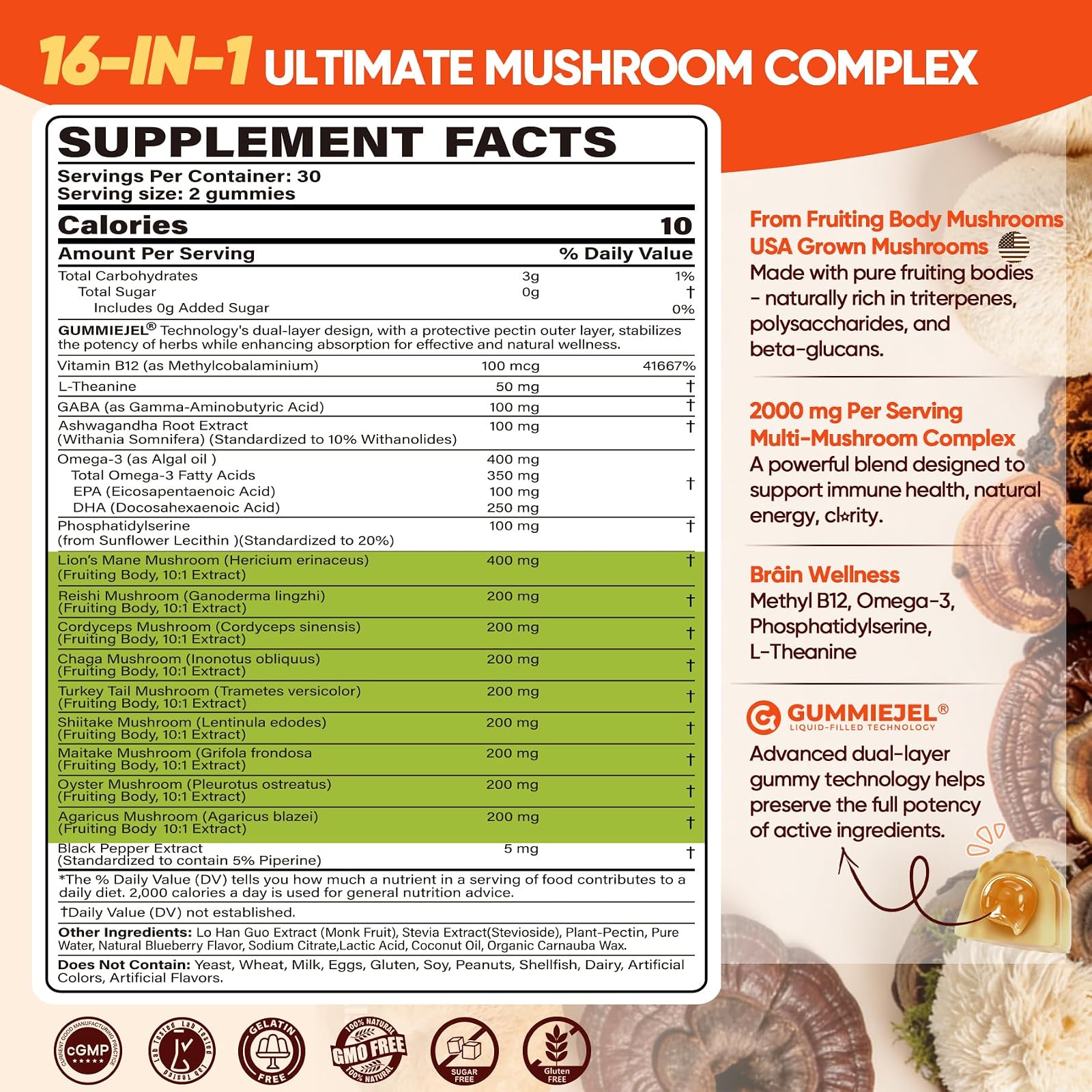 Lion's Mane and Reishi gummy benefits