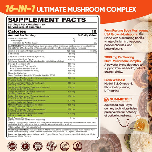 Lion's Mane and Reishi gummy benefits