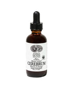 lion's mane brain tonic drops