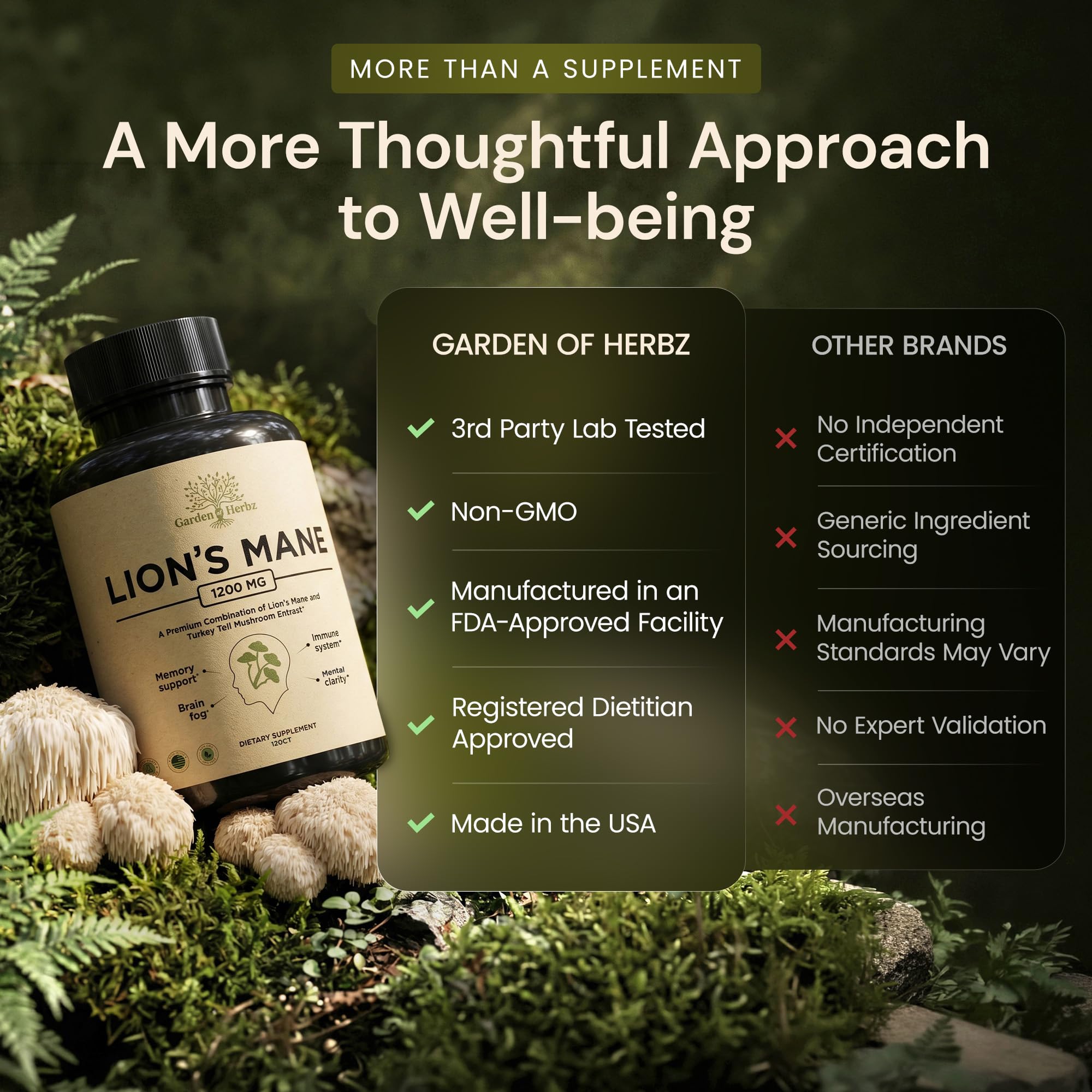 Lion's Mane capsules for better focus