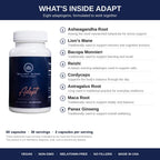 Lion's Mane capsules for cognitive support