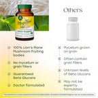 lion's mane capsules for daily wellness