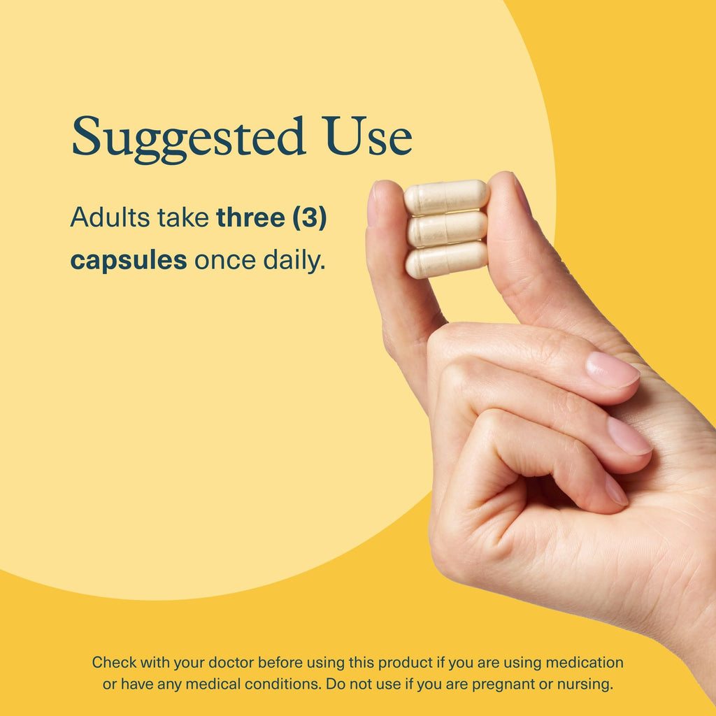 Lion's Mane capsules for daily wellness