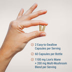 lion's mane capsules for focus
