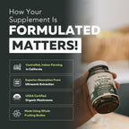 lion's mane capsules for improved memory