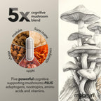 lion's mane capsules for mental clarity