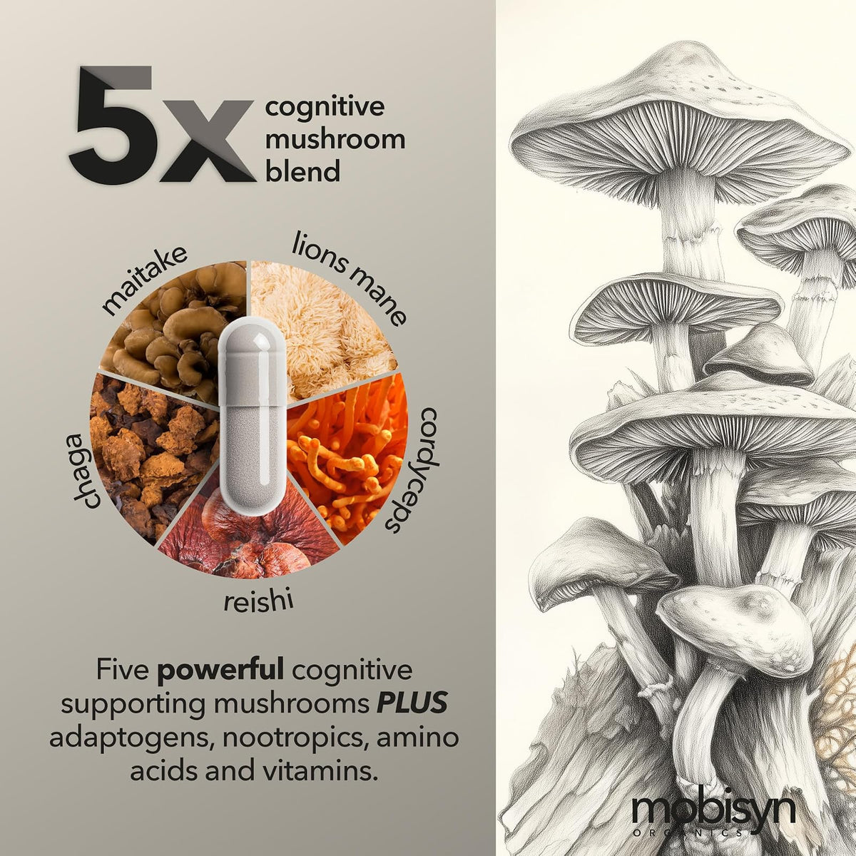 lion's mane capsules for mental clarity