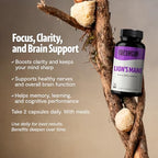 lion's mane capsules for mental clarity