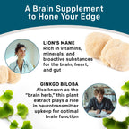 lion's mane capsules for mental clarity