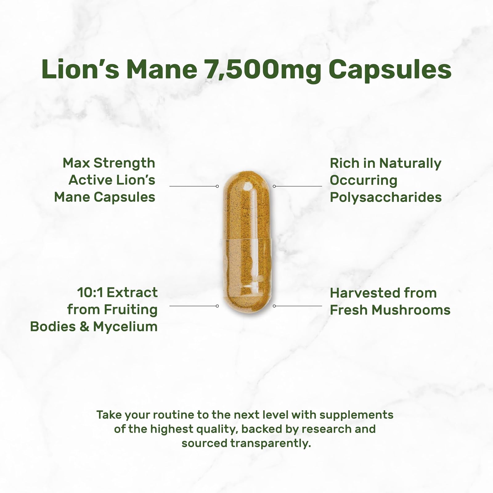 lion's mane capsules for mental clarity