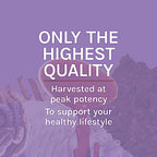 lion's mane capsules for wellness