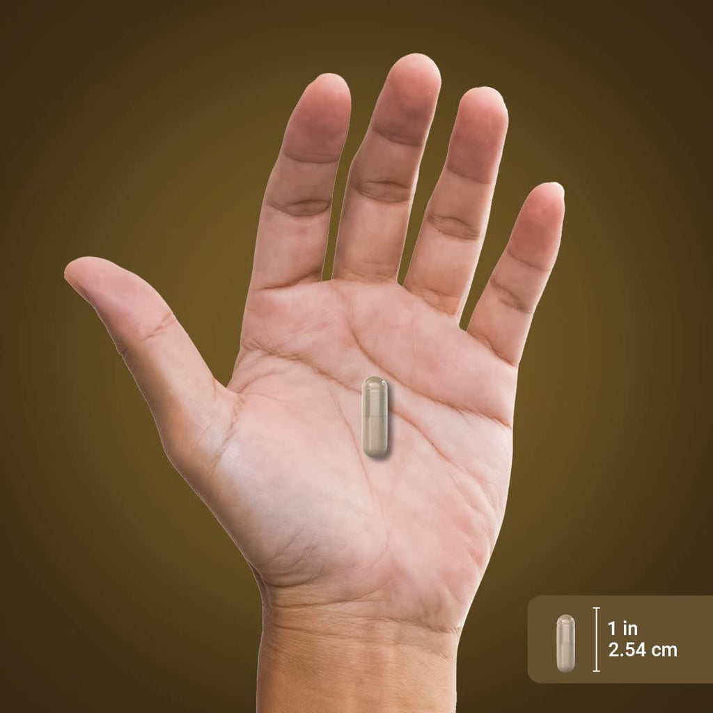 lion's mane capsules for wellness