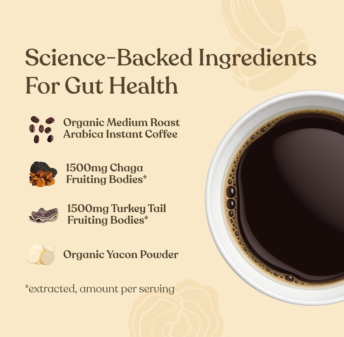 Lion's Mane & Chaga coffee mix benefits