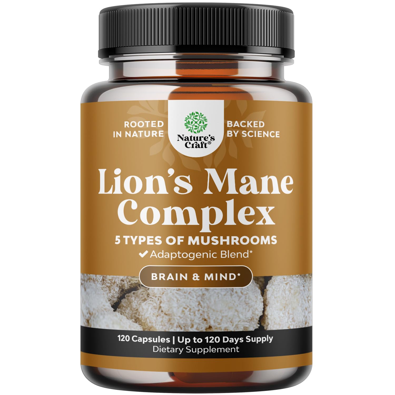Lion's Mane Complex for brain health