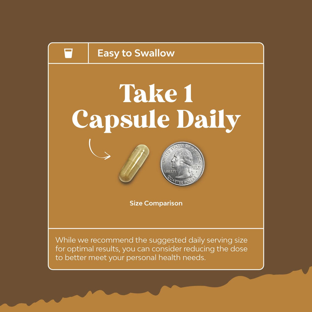 Lion's Mane Complex supports cognitive function