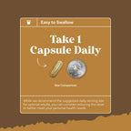 Lion's Mane Complex supports cognitive function