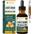 Lion's Mane Drops for brain focus