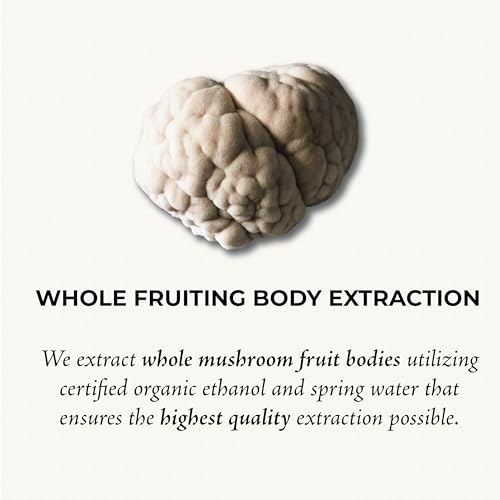 Lion's Mane extract for brain health