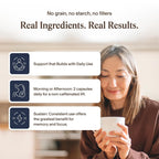 lion's mane extract for brain health