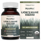 lion's mane extract for cognitive support