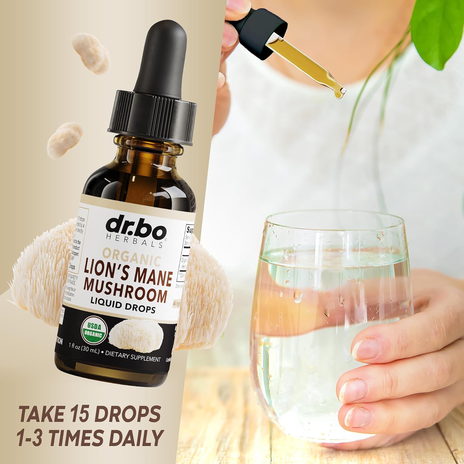 lion's mane extract for cognitive support