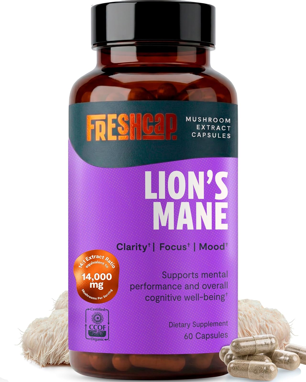 lion's mane extract for cognitive support