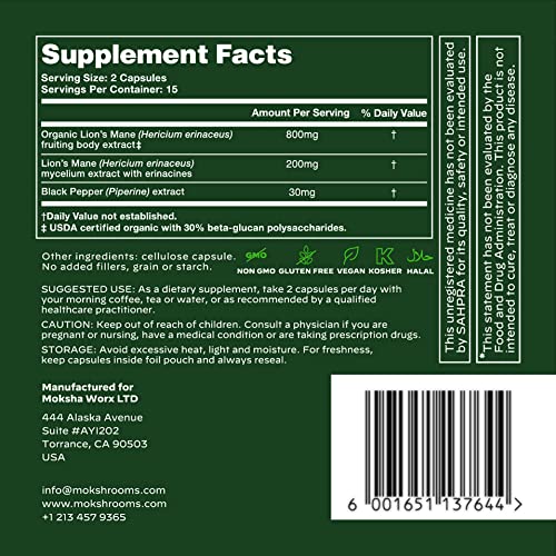 Lion's Mane extract for daily wellness
