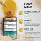 lion's mane extract for enhanced memory