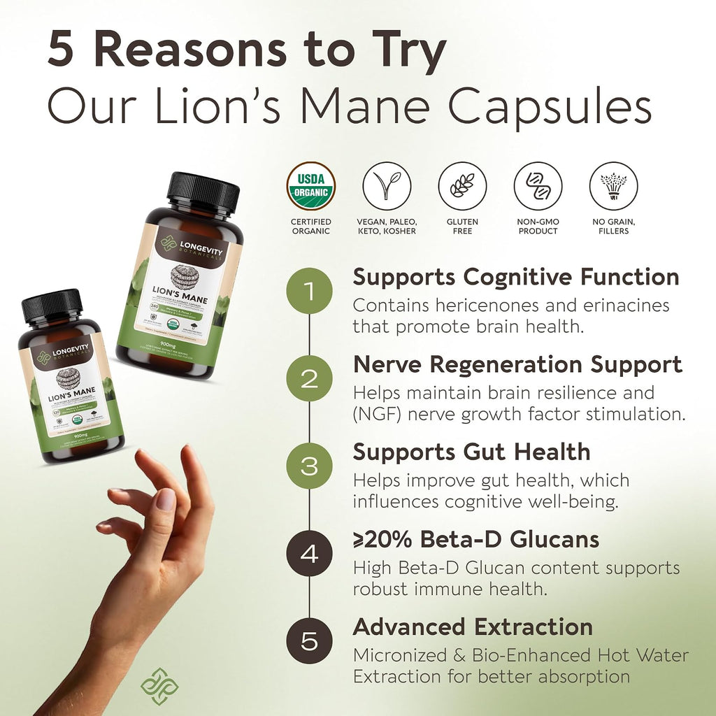 lion's mane extract for focus