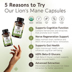 lion's mane extract for focus