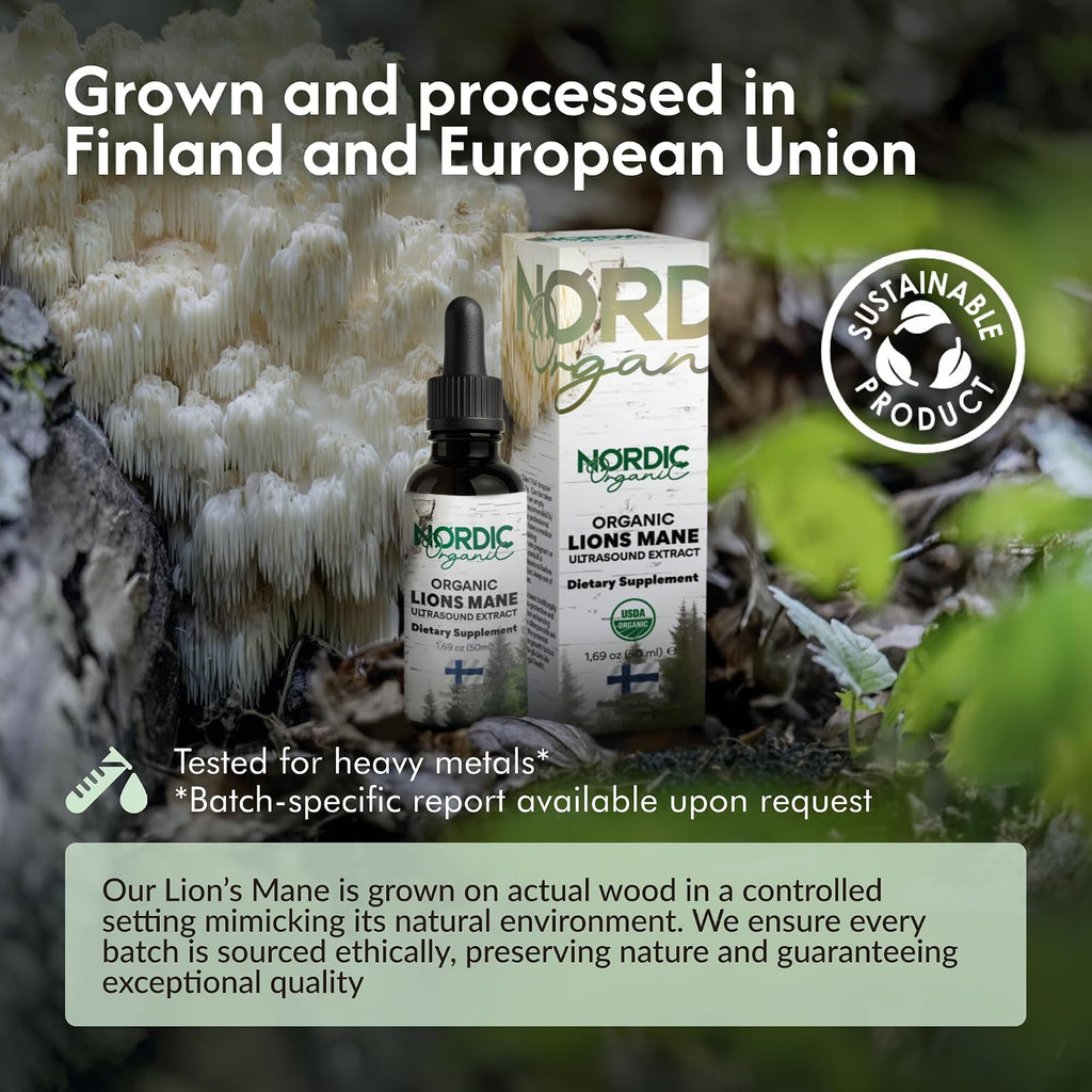 Lion's Mane extract for memory enhancement