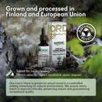 Lion's Mane extract for memory enhancement