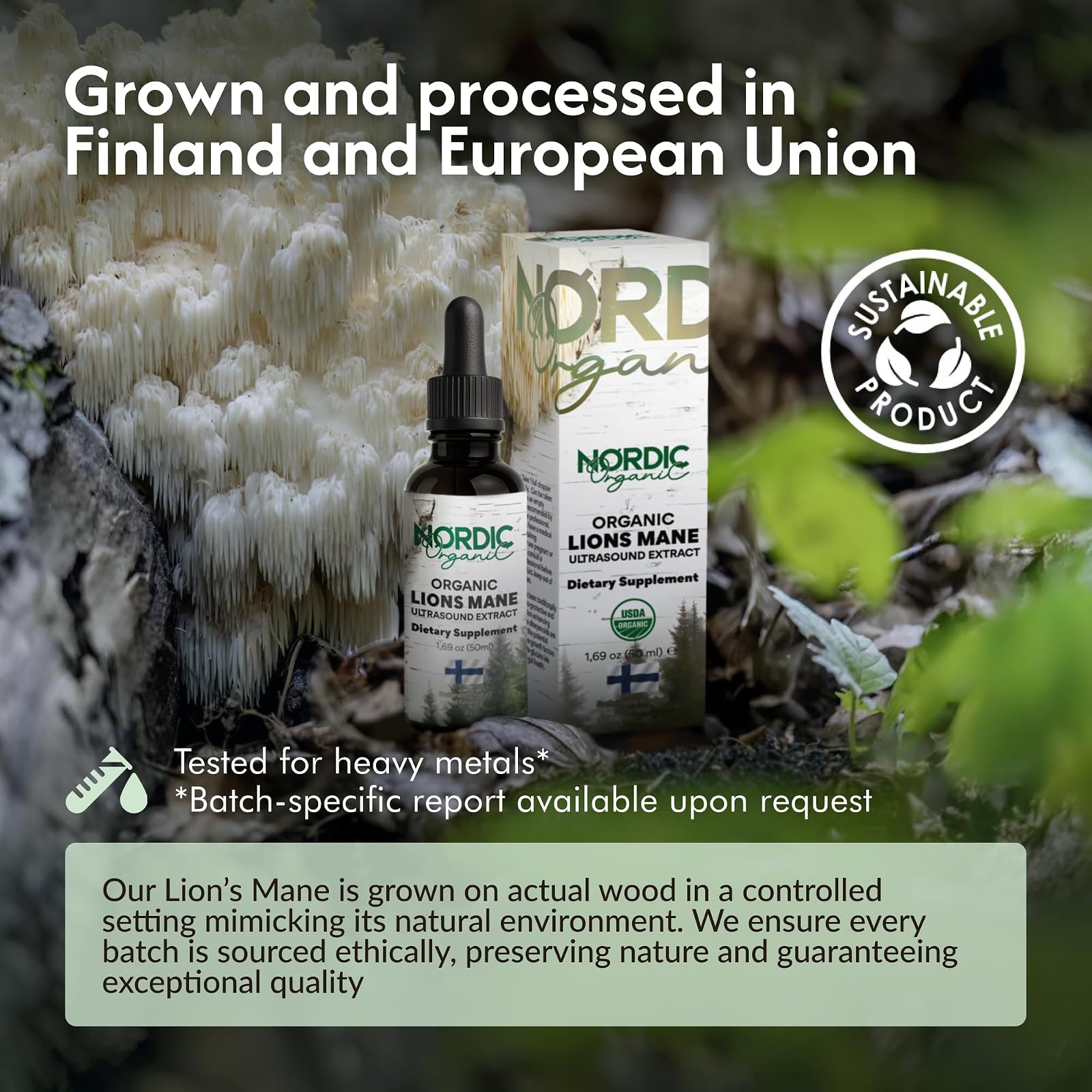 Lion's Mane extract for memory enhancement