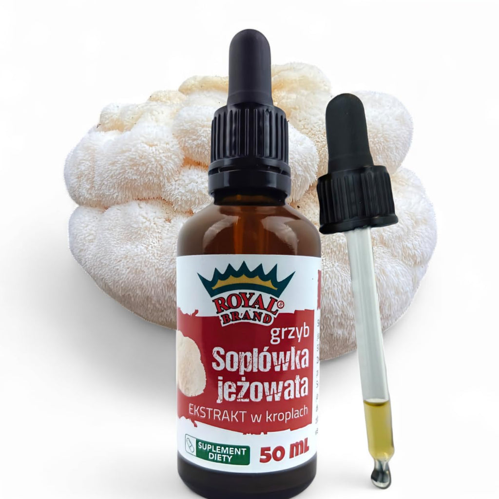Lion's Mane extract for memory support