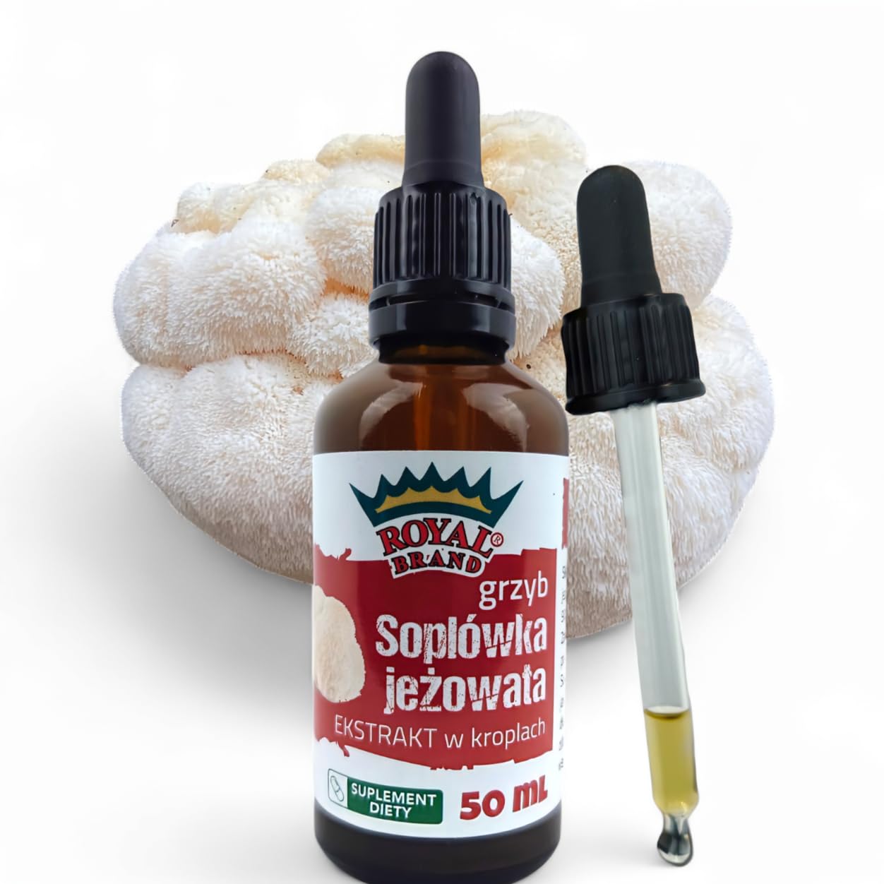 Lion's Mane extract for memory support